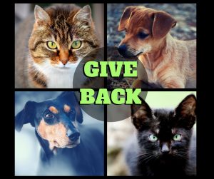 Ever Wonder What You and Your Pet Can do To Give Back? NuVet Labs